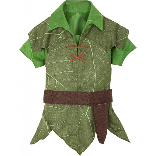 Disney Peter Pan Costume for Boys