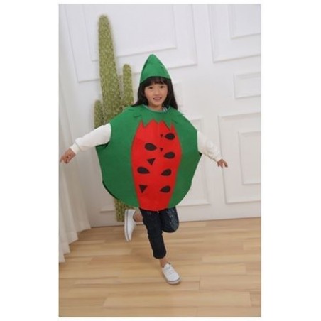 Watermelon Costume For Kids
