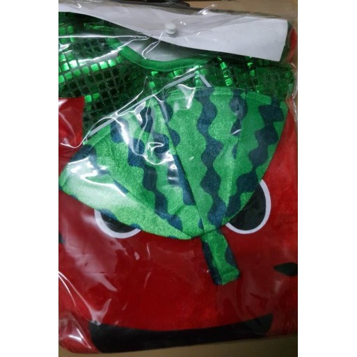 Watermelon Costume For Kids